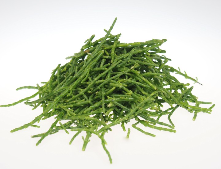 Queller / Salicornes 100 g Paket | 1000010